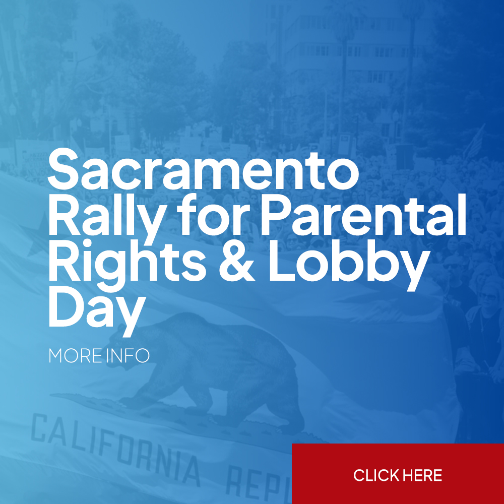 Home [realimpact.us]